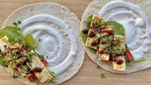 Schnell gegrillter Halloumi-Wrap | ingarden